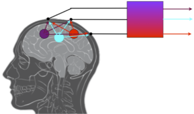 Laboratorium EEG/CSP – Brain-wiki