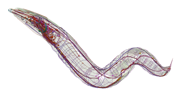 TI/Sztuczna Inteligencja – Brain-wiki
